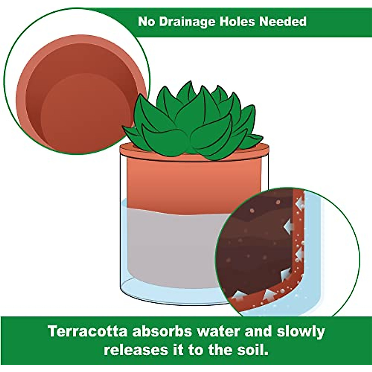 Phoenix Vine 4 Inch 6 Inch Self Watering Plants Pots, Design Terracotta Pots for Plants, Indoor Cylinder Terra Cotta Planter with Glass Vase Set, 51-A-G