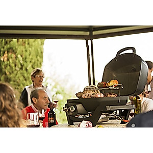 Napoleon PRO285-BK TravelQ PRO285 Portable Gas Grill, With Legs, Black