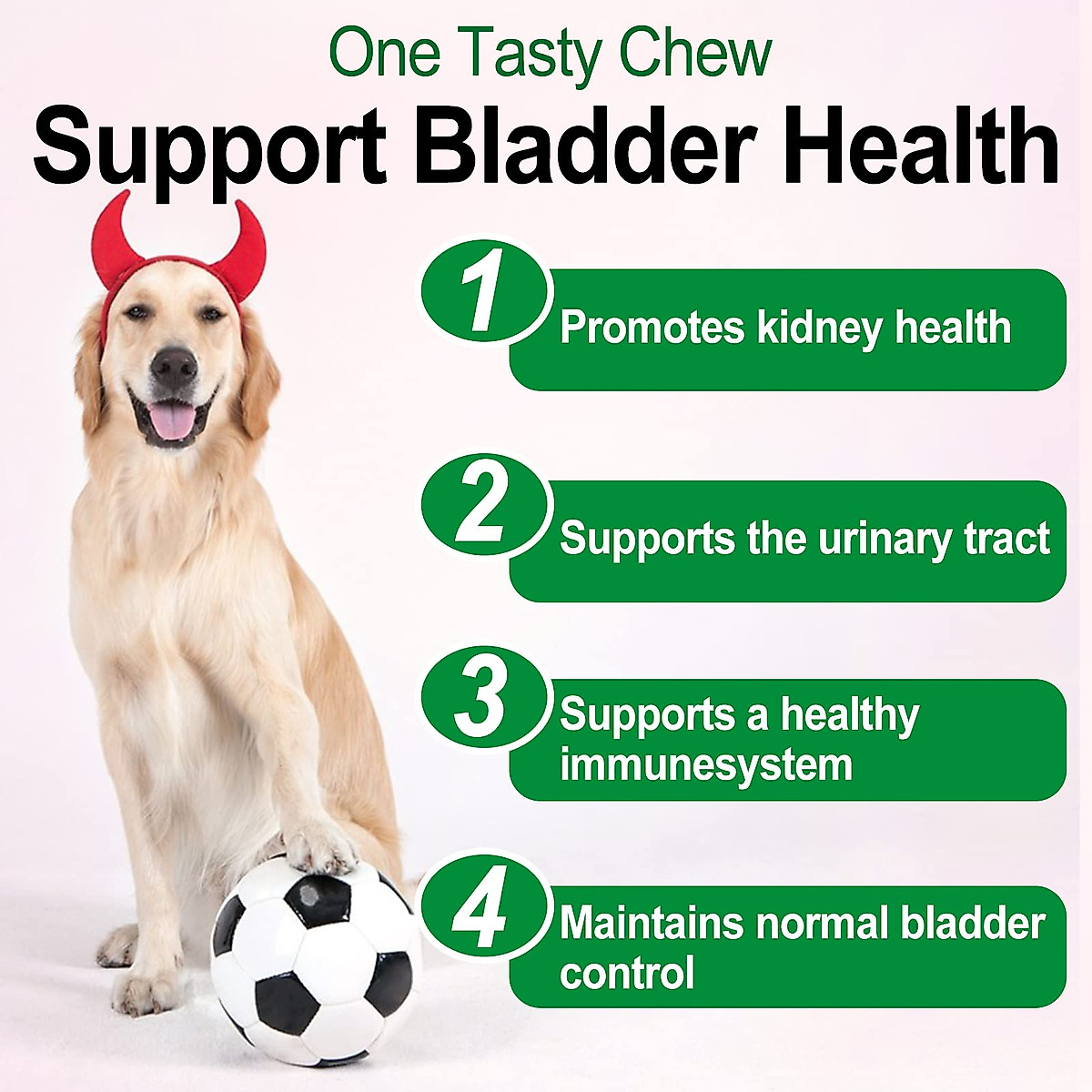Oimmal Cranberry Bladder Health for Dogs