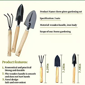 3Pcs Succulent Tools, This Tool Set is Especially Suitable for Office Gardening, Desktop Gardening and Indoor Bonsai,It Helps You All Kinds of Small Potted Plants，Meets Your Gardening Needs