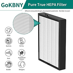 GoKBNY 2-Pack 45i and Flex True HEPA Replacement Filter Compatible with A len BreatheSmart Flex and 45i Purifiers, 2×2-in-1 H13 True HEPA Filters + 2×Carbon Pre-Filters