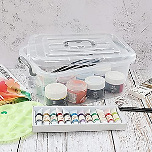 Hommp 8 L Clear Plastic Storage Box, Plastic Latching Box with Lid, 2-Pack