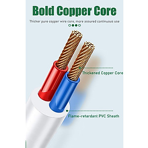 Czepa Charger for Fairywill Sonic Electric Toothbrush, Sonic Electric Toothbrush FOREO Luna Power Cord(2 Park)