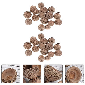 Yardwe Natural Acorn Caps Acorn Hats: 80Pcs Tops Small Fake Acorn Caps for Crafting Decoration DIY Christmas Weddings Crafts