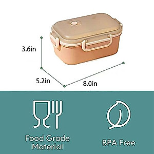 Tinaforld Large Salad Container for Lunch - Better Adult Bento Lunch Box 1000ML,3-Compartment Tray 2-layer, Stackable, BPA-Free