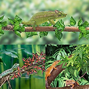 KATUMO Reptile Plants, 3 PCS Amphibian Hanging Plants with Suction Cup for Snake, Bearded Dragons, Lizards, Geckos, Toads, Hermit Crab Tank Pets Habitat Decorations