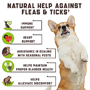 Flea and Tick Prevention Chewable for Dogs - No Collars, No Mess - Easy Help with Flea and Tick for Dogs - American Quality - for All Breeds and Ages - Duck-Flavored Treats - 180 Flea Chews for Dogs