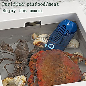 Capsule Fruit And Vegetable Purifier 4400mah Wireless Induction Charging, Used To Purify Fruits And Vegetables, Seafood, Meat, Cereals, Etc，smart Home Products