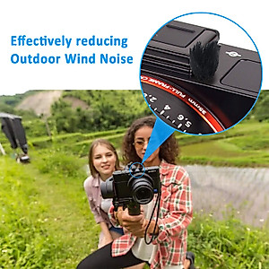 YOUSHARES Camera Mic Windscreen, 10 PCS Fur Wind Muff Wind Cover for Sony RX1 RX10 RX100 Digital Compact Cameras Built-in Microphone Outdoor Wind Filter