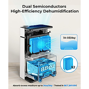 Dehumidifier, PLUSCENT 1000 Sq. Ft. Dehumidifiers for Home, 88 OZ Dehumidifier for Basement Bedroom Bathroom RV and Closet with Drain Hose, Auto Defrost, Auto Shut Off, Sleep Mode, 7 Colors LED Light