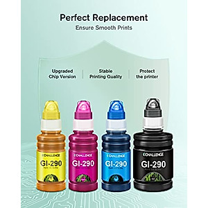 ECHALLENGE Compatible Ink Bottle Replacement for GI290 GI-290 G1200 G2200 G3200 G4200 G4210 (5-Pack 2Black Cyan Magenta Yellow)