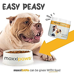 maxxipaws maxxiSAMe Sam-e Supplement for Dogs - Dog Liver and Cognitive Brain Support - Given with Food Powder 5.3 oz