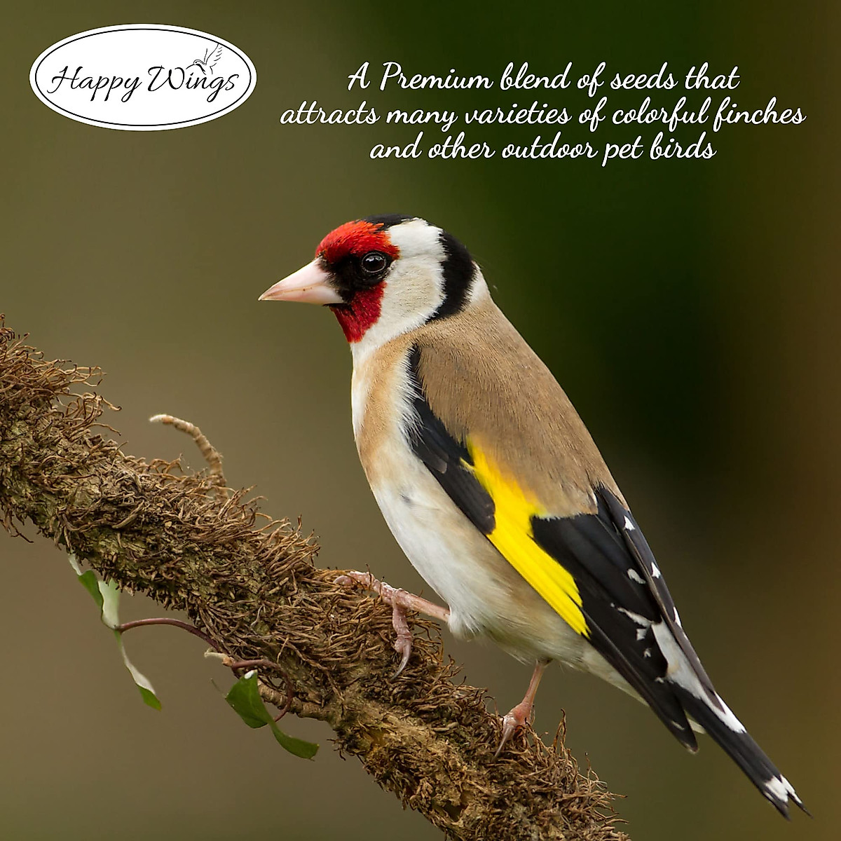 Happy Wings Finch Blend Bird Food, Mix of Sunflower Hearts/Kernels and Nyjer Seed, 5 Pounds | No Grow Seed | Bird Seed for Wild Birds