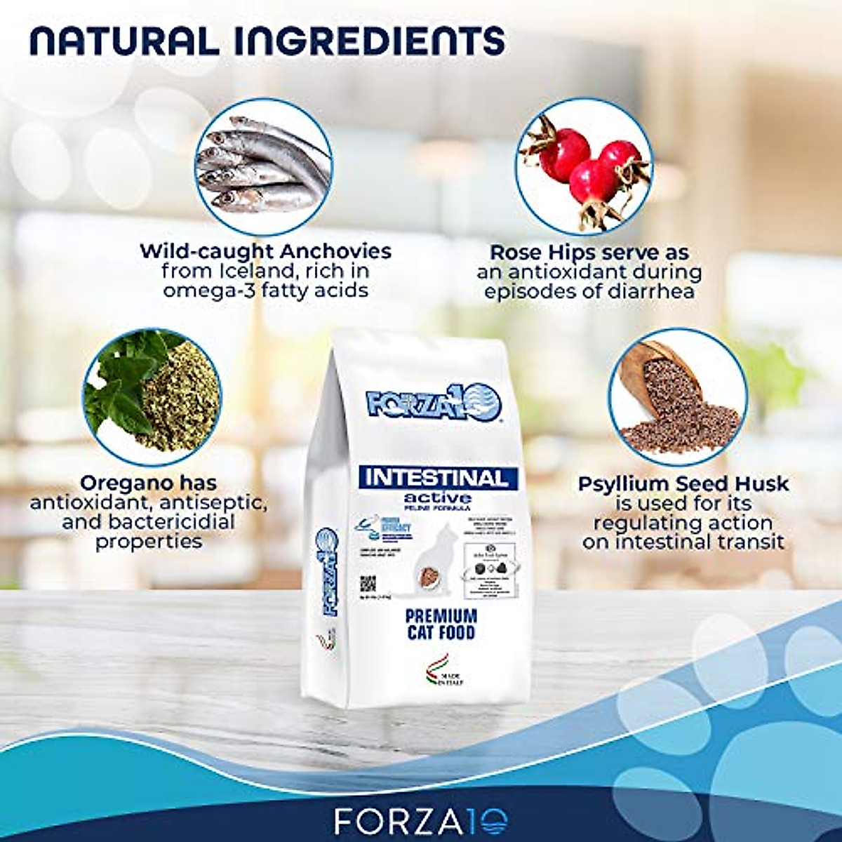 Forza10 Active Intestinal Support Diet Dry Cat Food for Adult Cats, Cat Food Dry for Upset Stomach, Diarrhea and Intestinal Disorders, Wild Caught Anchovy Flavor, 4 Pound Bag
