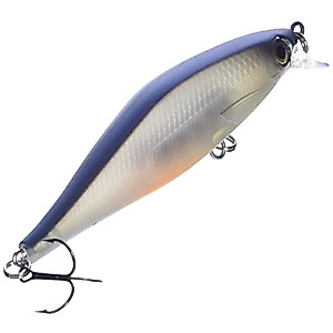 Rapala SDRS09 Shadow Rap Shad Lure (3.5-Inch, 0.3oz, Elite Blue)