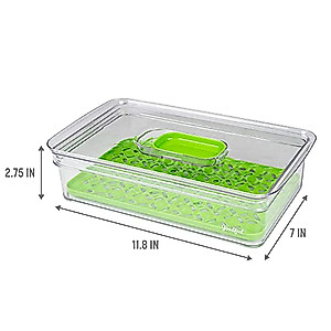 Goodful Produce Keeper, Adjustable Air Vents, Removable Insert/Colander, Durable Food Safe Material, Stackable, Clear and Green, Flat, 11.6" x 6.8" x 2.8"