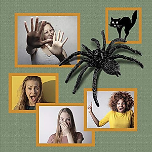HOHAJIU Fake Spider Realistic Plastic Spider Toys Spoof Halloween Party Props April Fool's Day Funny Fright Screaming Toys, Pack of 12