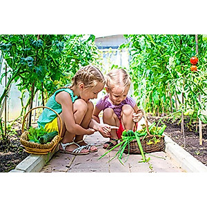 Heirloom Vegetable Seeds for Planting: 13 Varieties of Organic Non-GMO Open Pollinated Garden Seed - Weird and Rare Varieties Perfect for Kids and School Gardens