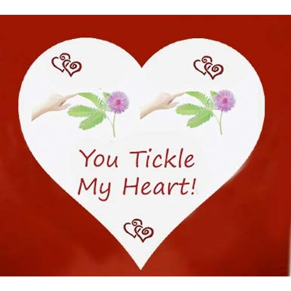 TickleMe Plant Grow Kit - You Tickle My Heart - Share Growing The Only Plant That Closes Its Leaves When Tickled or When Blown a KISS! Includes Soil Disk, Seeds, 4 inch Flower Pot. Easy to Grow.