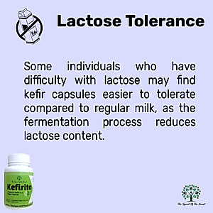 Kefirito 60 Veggie Capsules, 50 Billion CFU, 7 Probiotic Strains Kefiran, 582 mg Natural Active Probiotic, Supports Healthy Digestion, Gluten-Free, Lactosa-Free The Spirit Of The Forest 1 Month Supply
