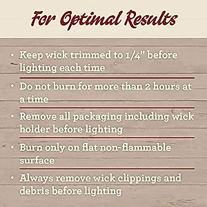 Blueberry Pie Scented Tin Candle, Up to 100 Hours of Burn Time with Specialty Blended Soy & Paraffin Wax | Our Own Candle Company, 13 Ounce