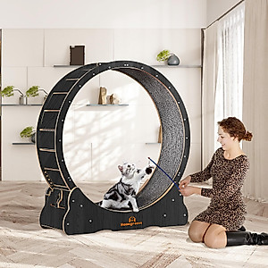 Homegroove Cat Exercise Wheel for Indoor Cat, 40" Large Cat Running Wheel with Carpeted Runway, Cat Treadmill Wheel for Kitty’s Longer Life, Cat Wheel for Fitness Weight Loss Device, Black(L)