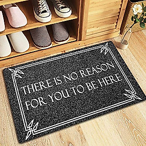 Funny Welcome Mats for Entrance Indoor Personalized Kitchen Rugs and Mats Anti-Slip Novelty Gift Mat(23.7 X 15.9 in) (There is No Reason for You to Be Here)