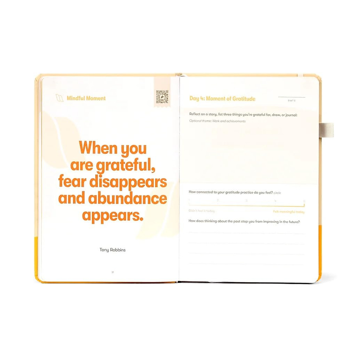 The Gratitude Sidekick Journal: A 66-Day Daily Gratitude & Mindfulness Journal for Developing A Habit of Gratitude & Postivity