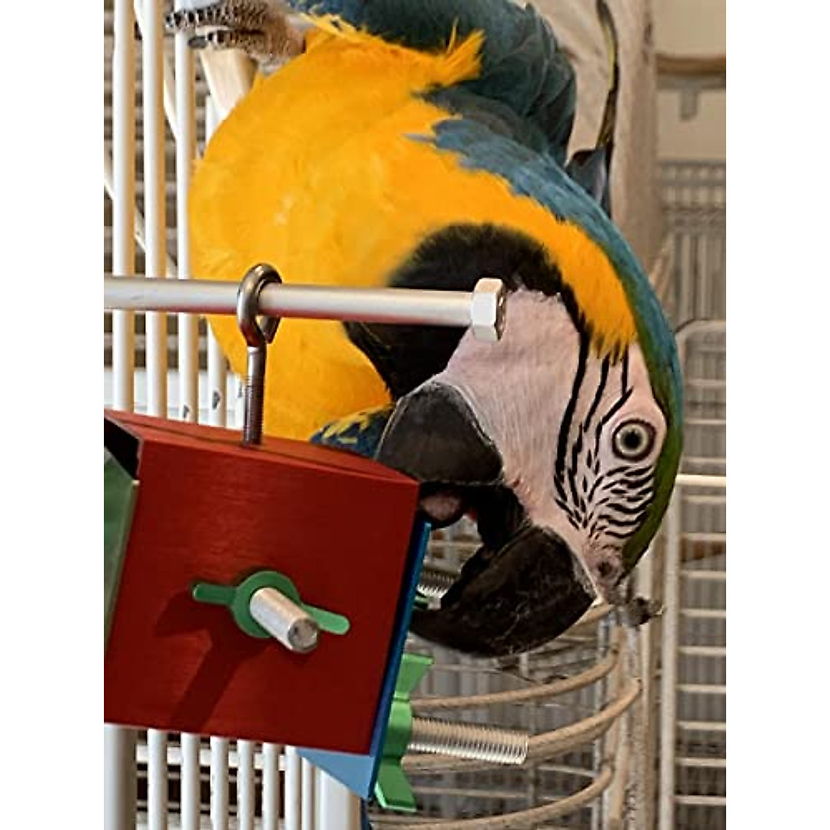 Busy Bird | Box Foraging Bird Toy - Rounded Corners, Non-Removable Wing Nuts - 100% Metal, Ultimate Brain Teaser and Mind Game for Medium to Extra Large Birds