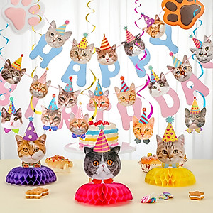 16 Pcs Cat Theme Birthday Party Decorations Party Supplies Kit, Includes Cat Party Banner with 6 Cat Hanging Cutouts 6 Hanging Swirl Decor and 3 Birthday Honeycomb for Kids Girls (Cute Style)