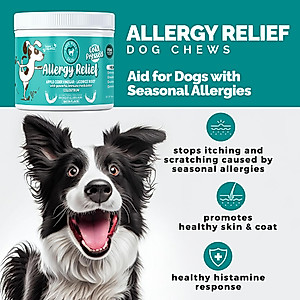 Live Well Dog Allergy Relief Soft Chews for Dogs - Anti Itch Supplement - Apple Cider Vinegar, Licorice Root, Valerian Root, and Colostrum - Soft Chews for Skin & Seasonal Allergies - 120 Count