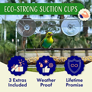 Window Bird Feeders with Strong Suction Cups, Clear Window Bird Feeder for Outside - Transparent Bird House, Balcony Glass Mount, Acrylic Cat, Kids & Elderly Viewing Clear Bird Feeder for Window Perch