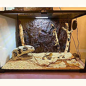 Tfwadmx Aquarium Driftwood Natural Forest Branch Trees Terrarium Wood Tree Reptile Branches Ornament Habitat Fish Tank Decoration(4 Pcs)