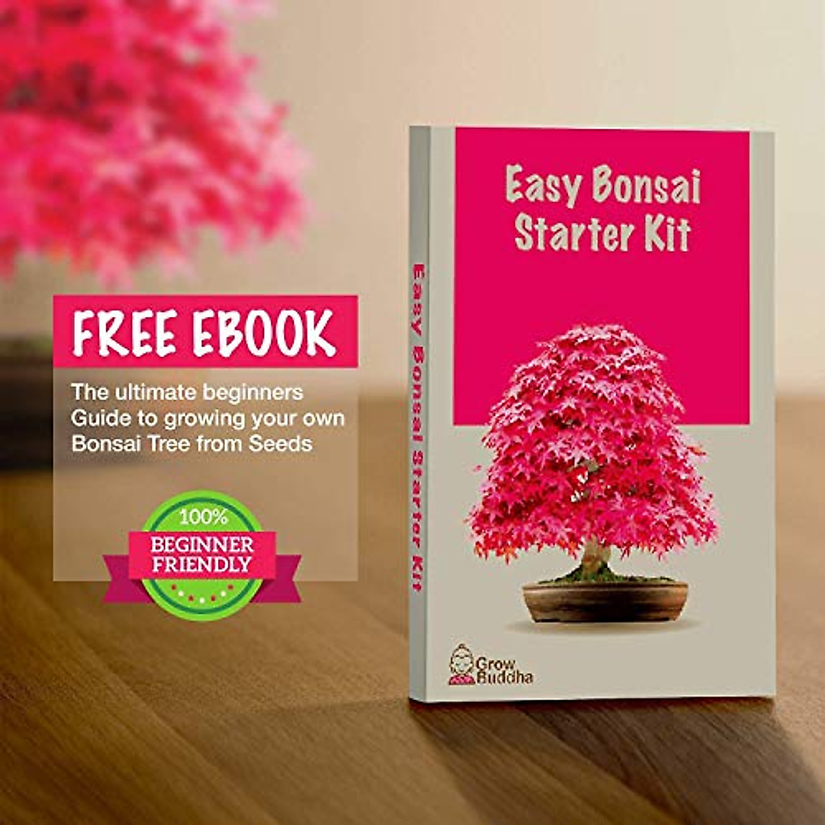 Grow Your Own Bonsai kit | Tree Plants & Seeds | Crafts Hobby Kits | Easily Grow 4 Types of Bonsai Trees with Our Complete Beginner Friendly Kit | Christmas Gift Ideas for Plant Lovers