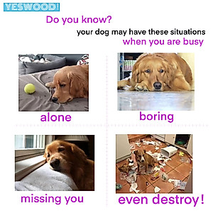 YESWOOD! Puppy Rope Toys for Small Dogs, Rope Candy Toys, Puppy Dental Cleaning Chew Toys Knots Dog Rope Toy for Aggressive Chewers Smart Newborn Pet and High Active Puppies (4 Packs)