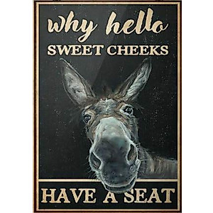 ZMKDLL Funny Toilet Restroom Black Donkey Why Hello Sweet Cheeks Have A Seat Retro Metal Tin Sign Vintage Sign for Home Coffee Wall Decor 8x12 Inch