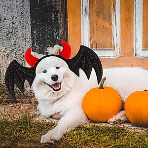 FOIMAS 6pcs Halloween Headbands,Pumpkin Spider Bat Ghost Headband for Kids Girls Boys Halloween Costume Party Decoration Supply