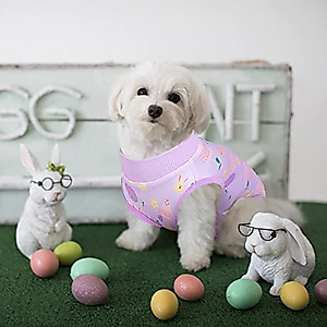 ASENKU Easter's Day Dog Onesie Pet Pajamas, Dogs Recovery Suit for Dogs Cats After Surgery, Dog Pajamas Outfit Bodysuit for Small Medium Large Dog Cat Costume (Easter's Day, XL)