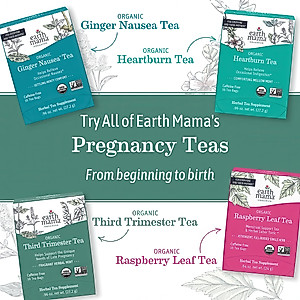 Earth Mama Organic Raspberry Leaf Tea Bags |Labor Tonic + Menstrual Support, 16 Teabags Per Box (3-Pack)