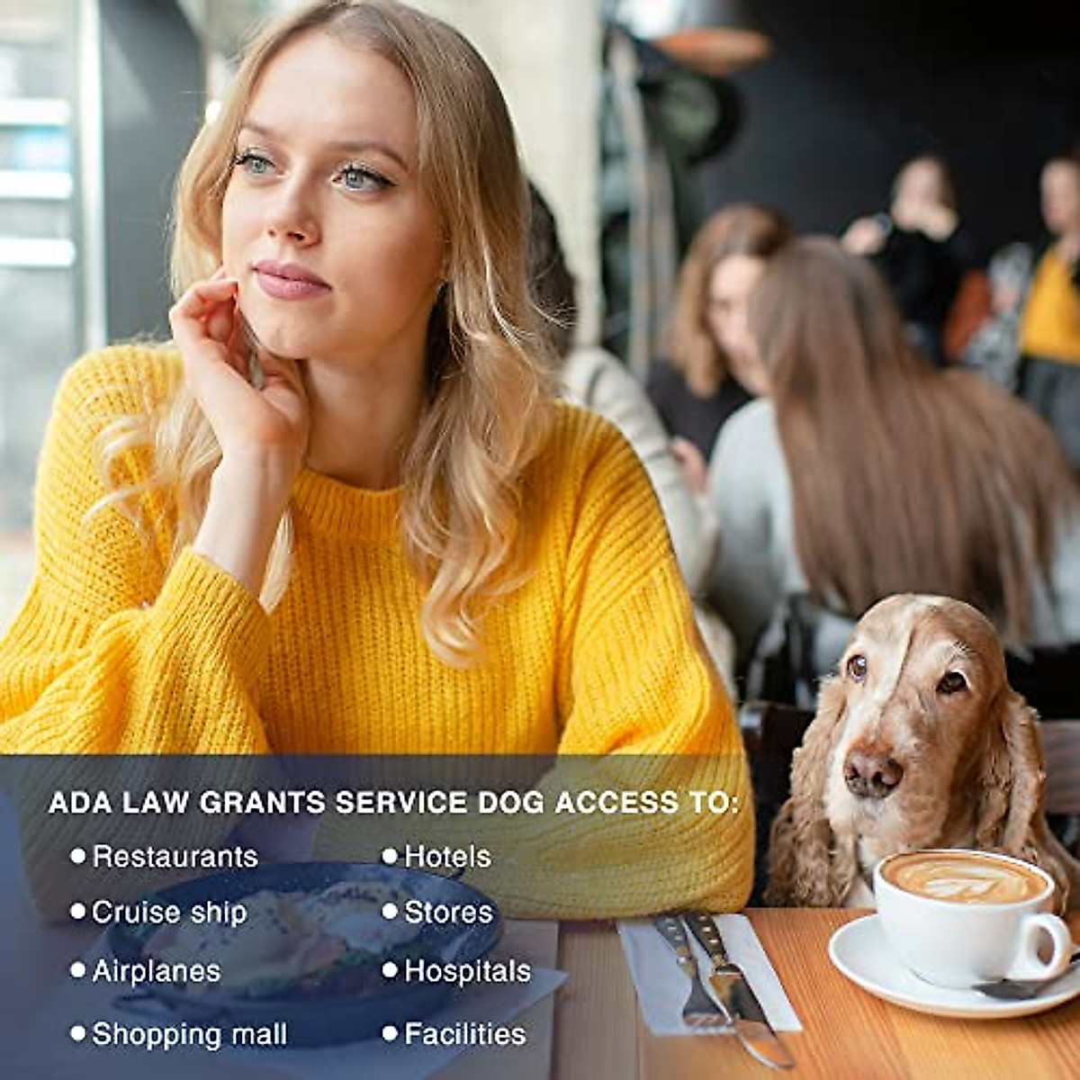 Leash King 1.25" Double-Sided ESA Dog Tag with 1.3" Solid Quick Clip– Easily Attach to Collar, Harness, Vest – Entirely Surgical Stainless Steel – PVD Gold