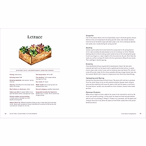 Vegetable Gardening for Beginners: A Simple Guide to Growing Vegetables at Home