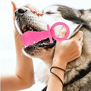 ULTECHNOVO Molar Clean Teeth Rubber Toy, Dog Pacifier Chew Toys Clean Teeth Rubber Pacifier Chew Toy, Bell Chewing Playing Training Toys, Puppy Chew Toy for Teething for Pet Puppy Dog Cat (Color Rand