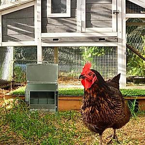 Rural365 50lb Capacity Galvanized Chicken Feeder Weatherproof Coop Dispenser
