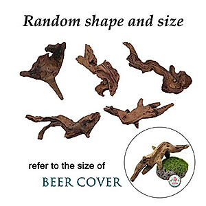 Hamiledyi Aquarium Driftwood Natural Coral Wood Driftwood Assorted Branches Reptile Fish Tank Aquarium Decoration(5 Pack)