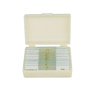 Prepared Whole Insects Microscope Slides Set, 10pcs Specimens for Kids Students Biology Class, Educational Gift (Whole Insects)