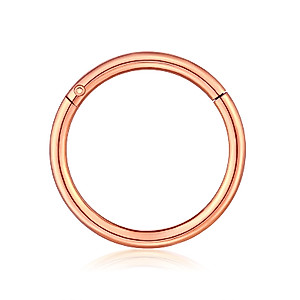 EVISPOL 5Pcs Set 16G Nose Rings 316L Surgical Steel Hinged Nose Ring Hoop Septum Clicker for Women Men Lip Nipple Rings Cartilage Rook Helix Earring Conch Tragus Daith Earrings Piercing Jewelry-10mm