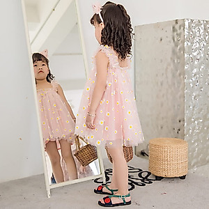 AGQT Baby Girls Daisy Tutu Dress Sleeveless Tulle Tutu Dress Princess Birthday Party Dresses Babydoll Pink Daisy-Lace Size 12-18 Months