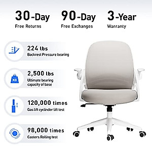 Hbada Home Office Chair Work Desk Chair Comfort Ergonomic Swivel Computer Chair with Flip-up Arms and Adjustable Height, Beige