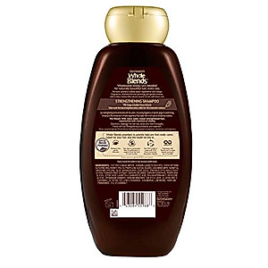 Garnier Hair Care Whole Blends Ginger Recovery Strengthening Shampoo, 22 Fluid Ounce