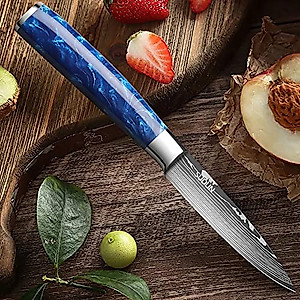 SUDUN Professional Paring Knife 3.5 inch Small Kitchen Knife Ultra Sharp German Stainless Steel 7Cr17Mov Fruit and Vegetable Cutting Chopping Knives - Full Tang Ergonomic Handle